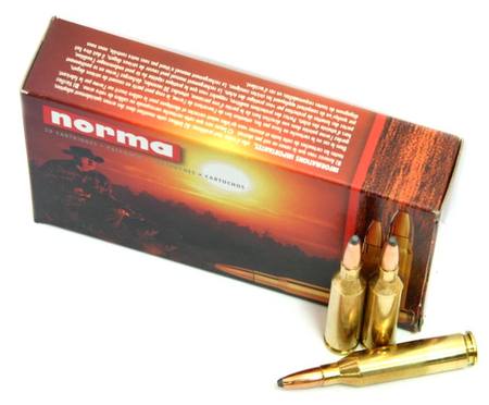 243 Win Norma 100gr SPSP NZ - 243 Winchester by Gun City