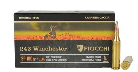 Fiocchi 243 100gr Soft Point NZ - 243 Winchester by Gun City