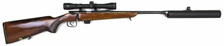 22 Vostok Blued Wood with 4x32 Scope & Silencer NZ - Bolt Action by Gun ...